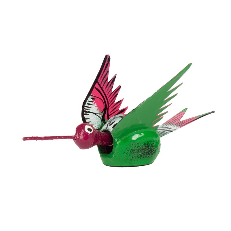 Mexican Nodding Seed Pod Hummingbird – Shorties Childrens Store